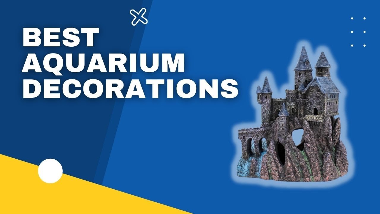 Top 3 Best Aquarium Decorations In 2023 Youtube