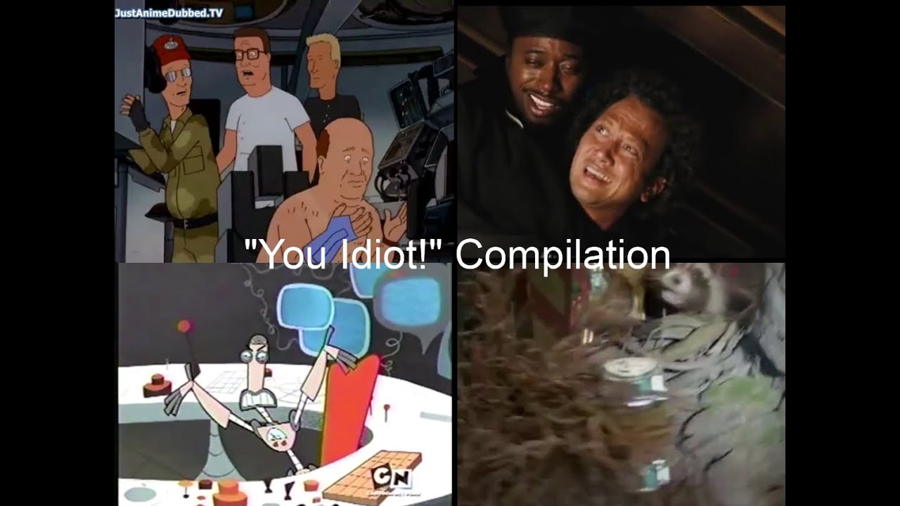 You Idiot Compilation Youtube