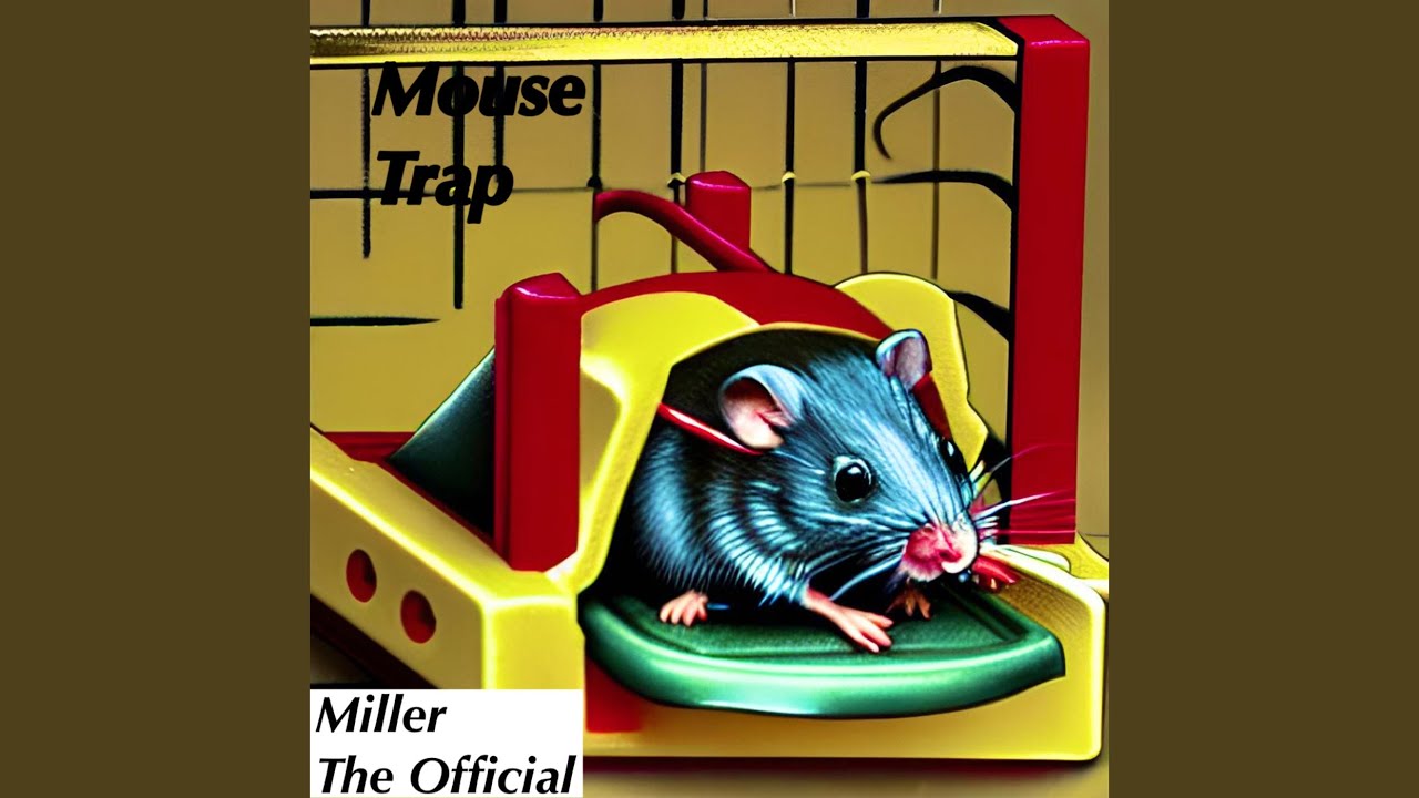 Mouse Trap Youtube