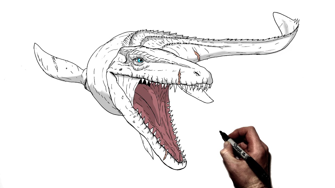 How To Draw A Mosasaurus Mosasaurs 101 National Geographic