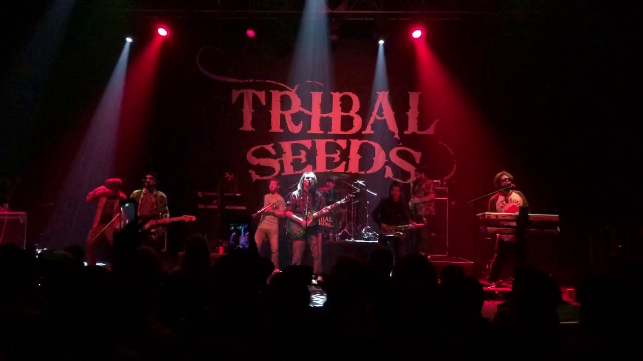 Trim 298ba3e4 7ea9 4229 88a6 4dab05f46fb5 Youtube