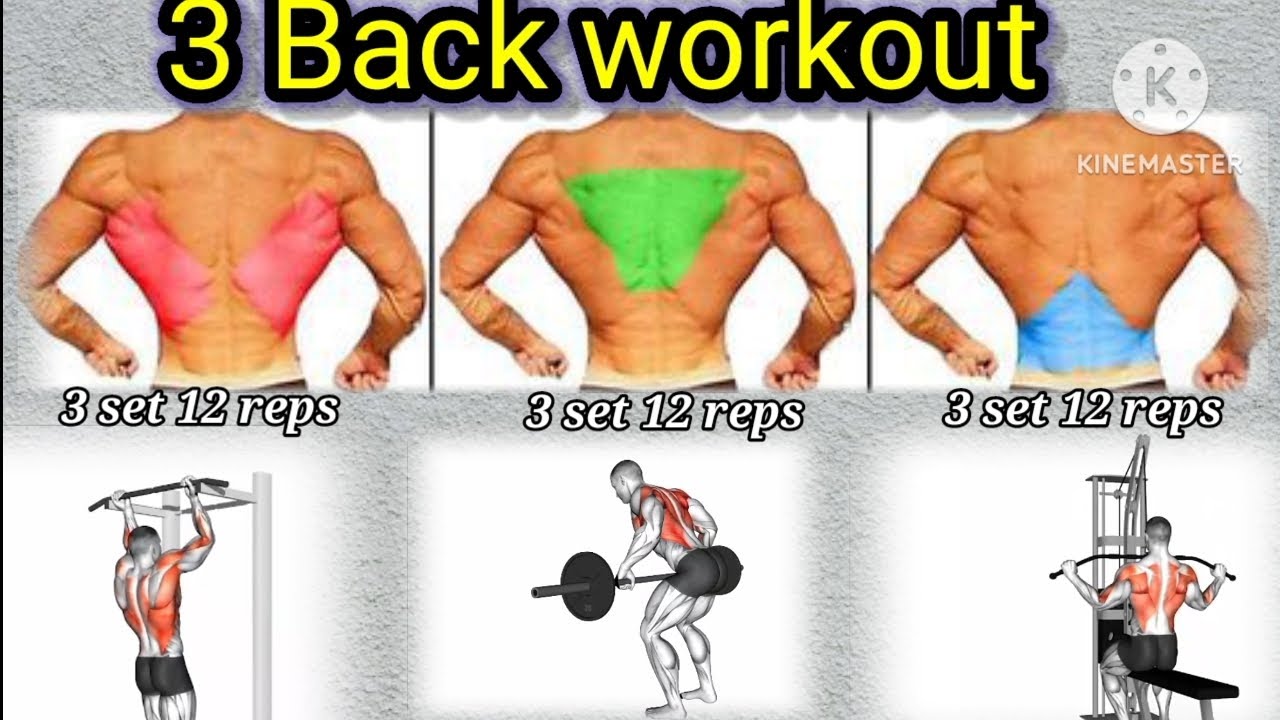 3 Back Workout Top 3 Common Exercises For Back Youtube