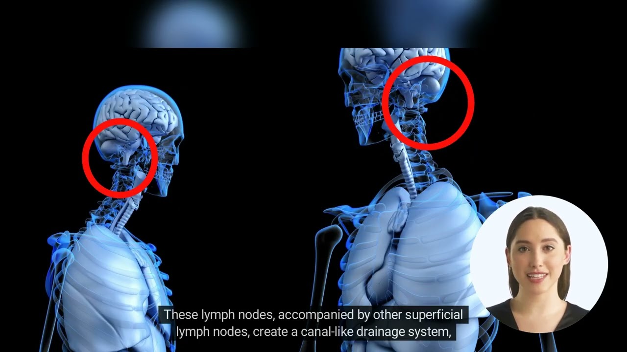 Learn About Swollen Occipital Lymph Nodes And Symptoms Horner S