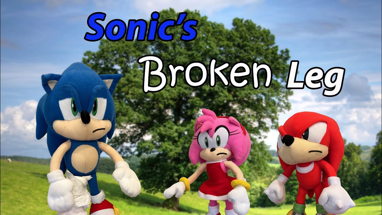 Sonic Plush Sonic S Broken Leg Youtube