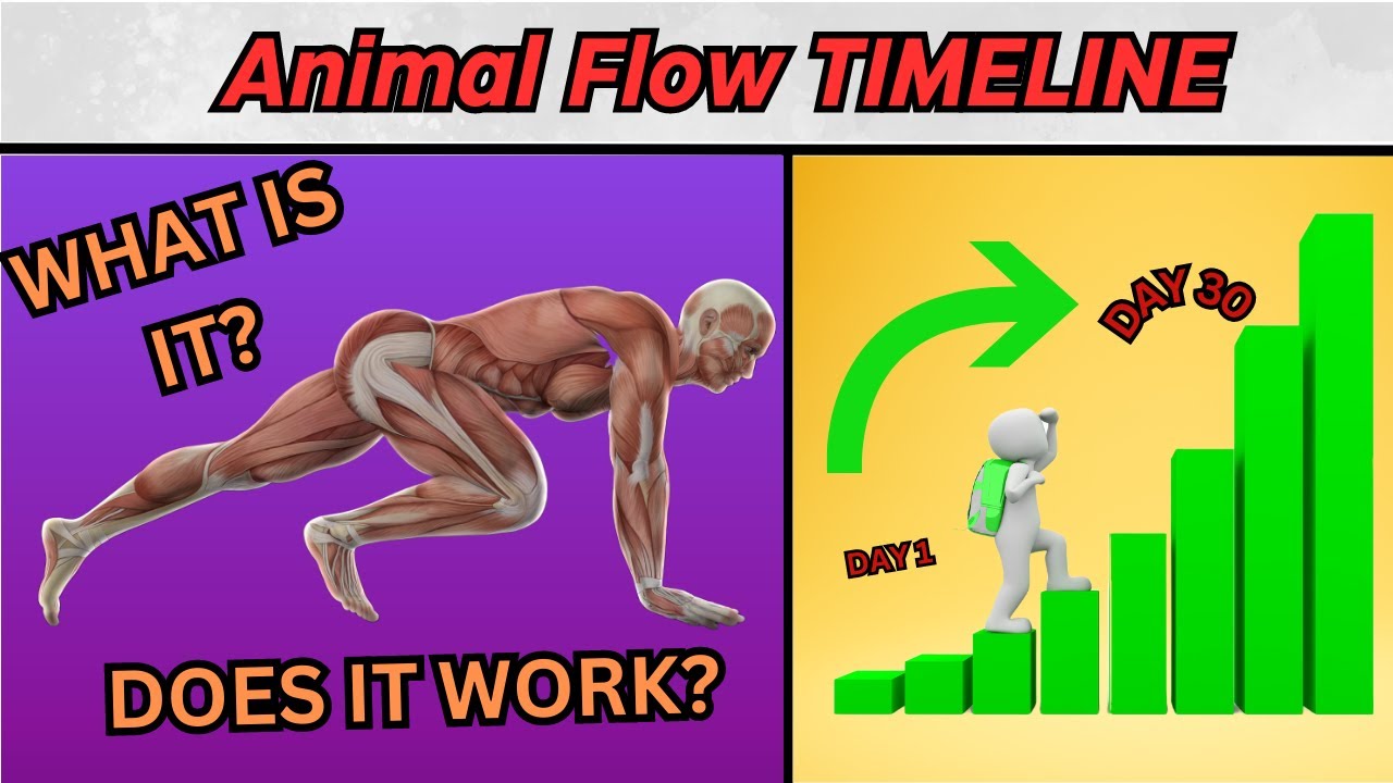 I Tried Animal Flow For 30 Days Worth The Hype Youtube