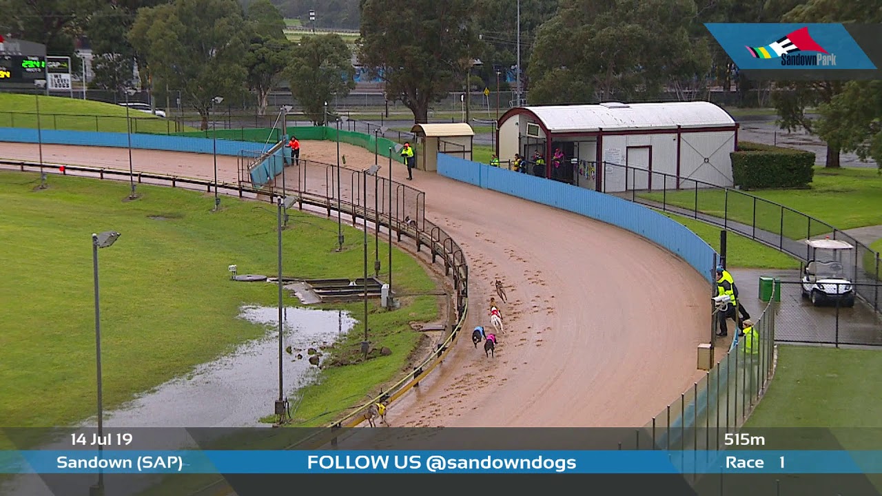 Sap Sun 14 Jul 19 R1 Youtube