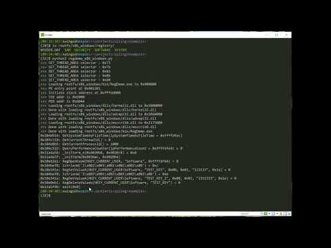Demo Qiling Framework Documentation