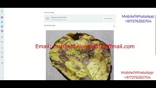 Plant Leaf Disease Identification Using Image Processing Python Project