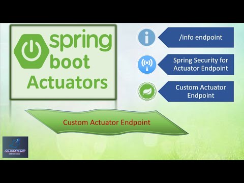 Custom Actuator Endpoint Info Endpoint Spring Security For Actuator