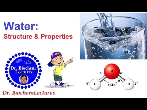 Water Structure And Properties Youtube