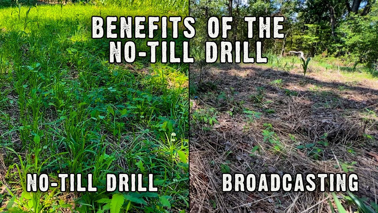 Best Way To Plant A Food Plot Broadcasting Vs Drilling Youtube