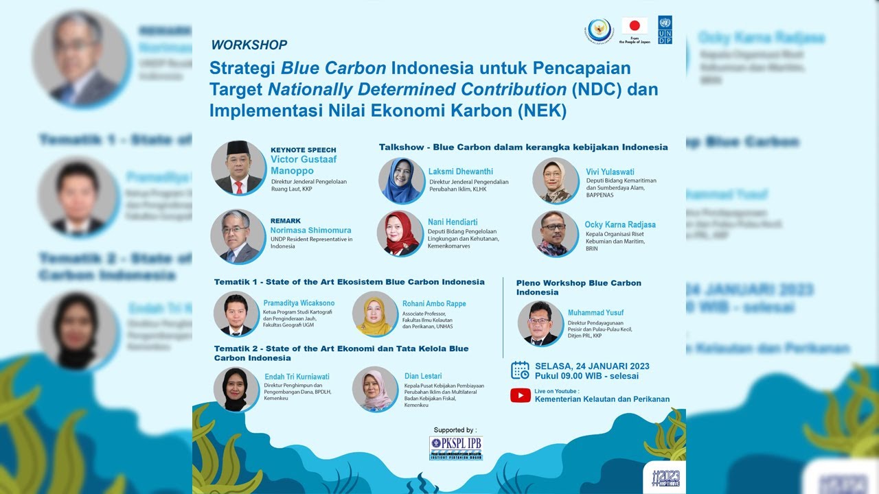 Workshop Strategi Blue Carbon Indonesia Youtube