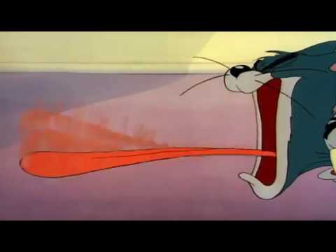 Earrape Tom S Loudest Scream Ever Youtube