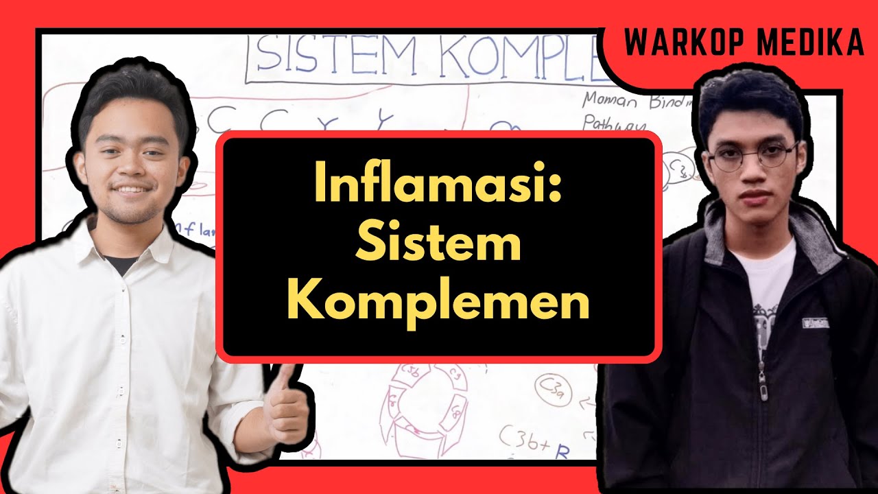 Inflamasi Sistem Komplemen Imunologi Hematoimunologi Youtube