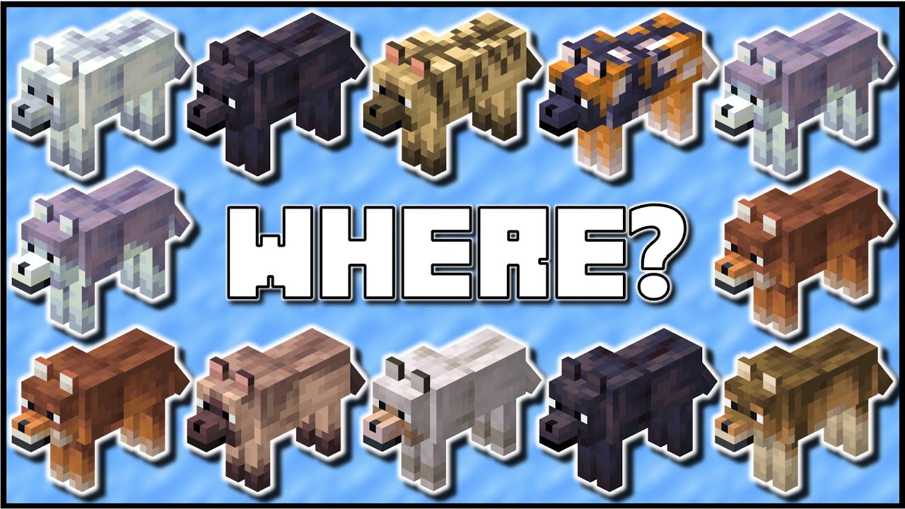 Minecraft How To Get All 9 Wolf Variants Java Bedrock Youtube