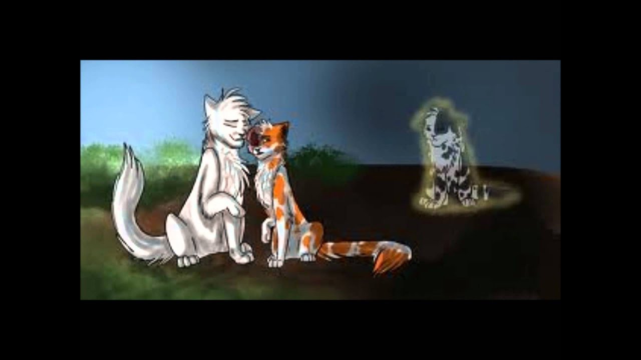 Brightheart X Cloudtail Tribute Youtube
