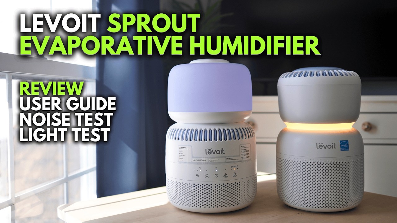 Levoit Sprout Evaporative Humidifier Review And Tests Youtube