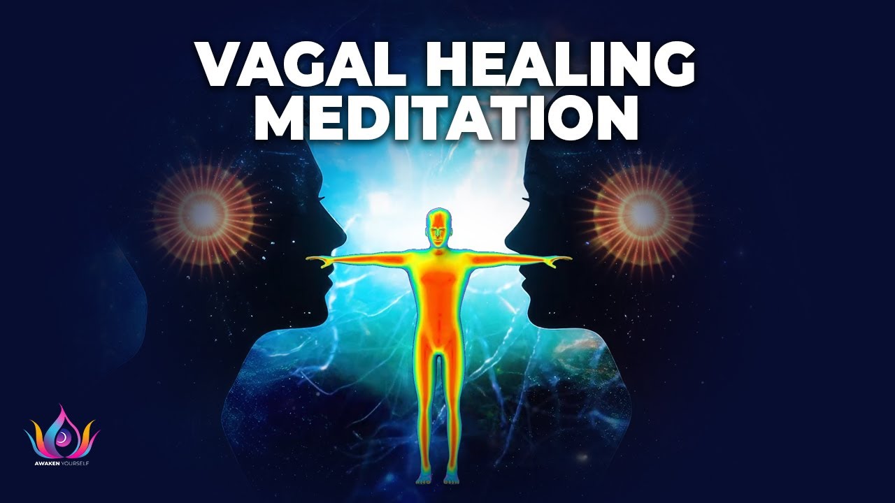 Vagal Healing Meditation For Gut Health Healing The Brain Gut Axis