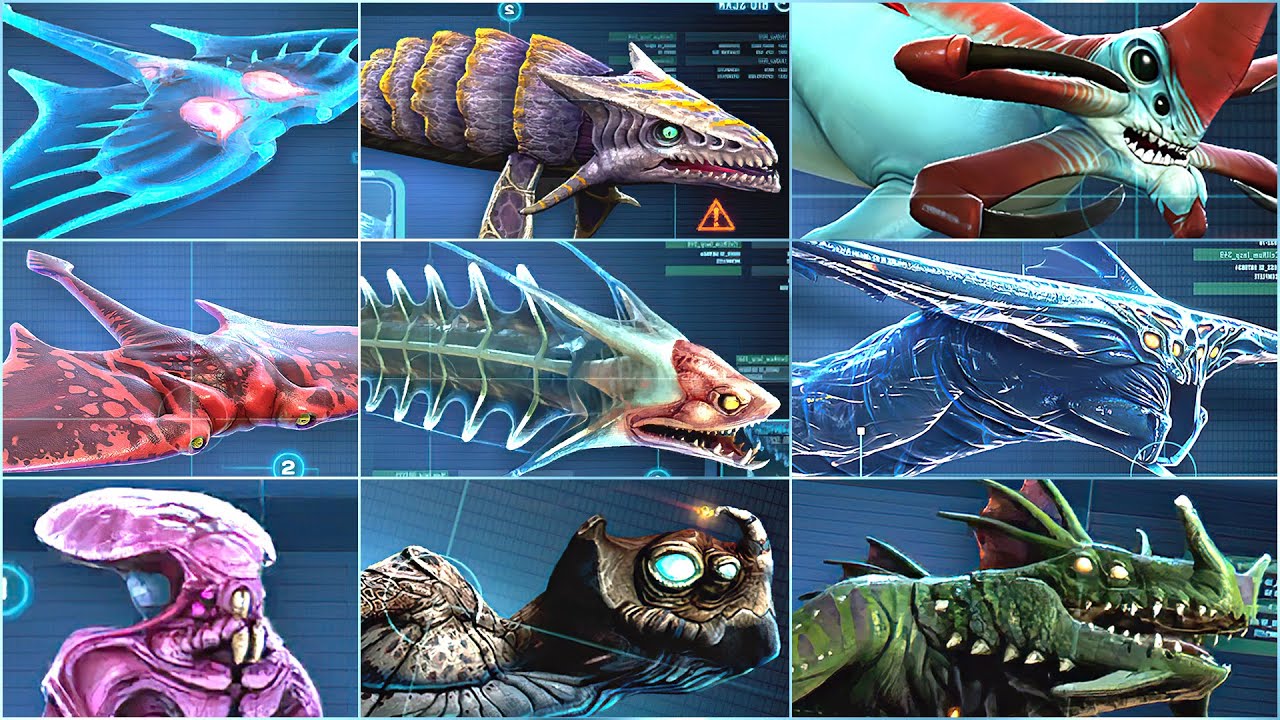 Live Update On Missing Subnautica 2 Leviathans