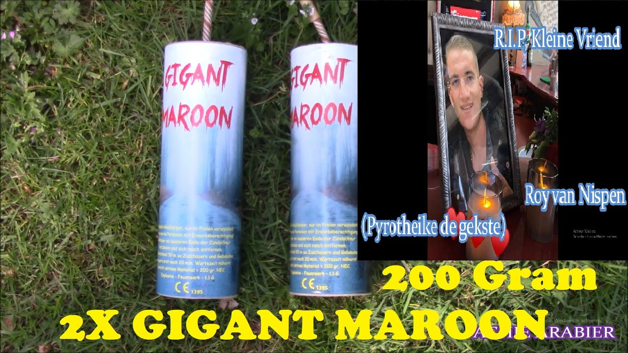 2x Gigant Maroon 200 Gr Eerbetoon 笘ｹr I P Roy Pyrotheike 剌 梢 Wij