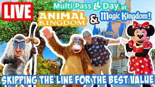 Live Multi Pass Day At Animal Kingdom Magic Kingdom Rides Fun Disney