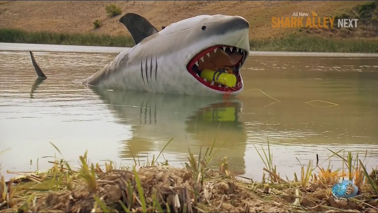 Mythbusters 15x14 Mythbusters Vs Jaws Part 09 Mkv Youtube