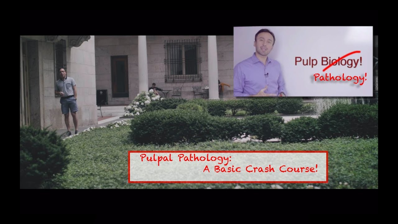 Pulpal Pathology A Basic Crash Course Youtube