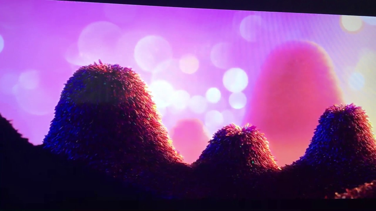 Princess Poppy Inflation Youtube
