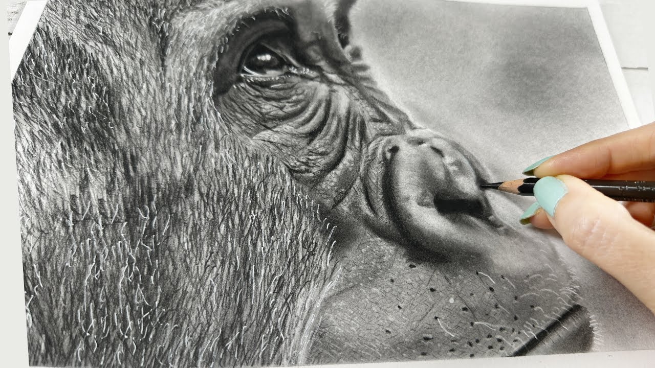 Hyperrealism Drawing Techniques Hyperrealistic Artist Paul Cadden Uses