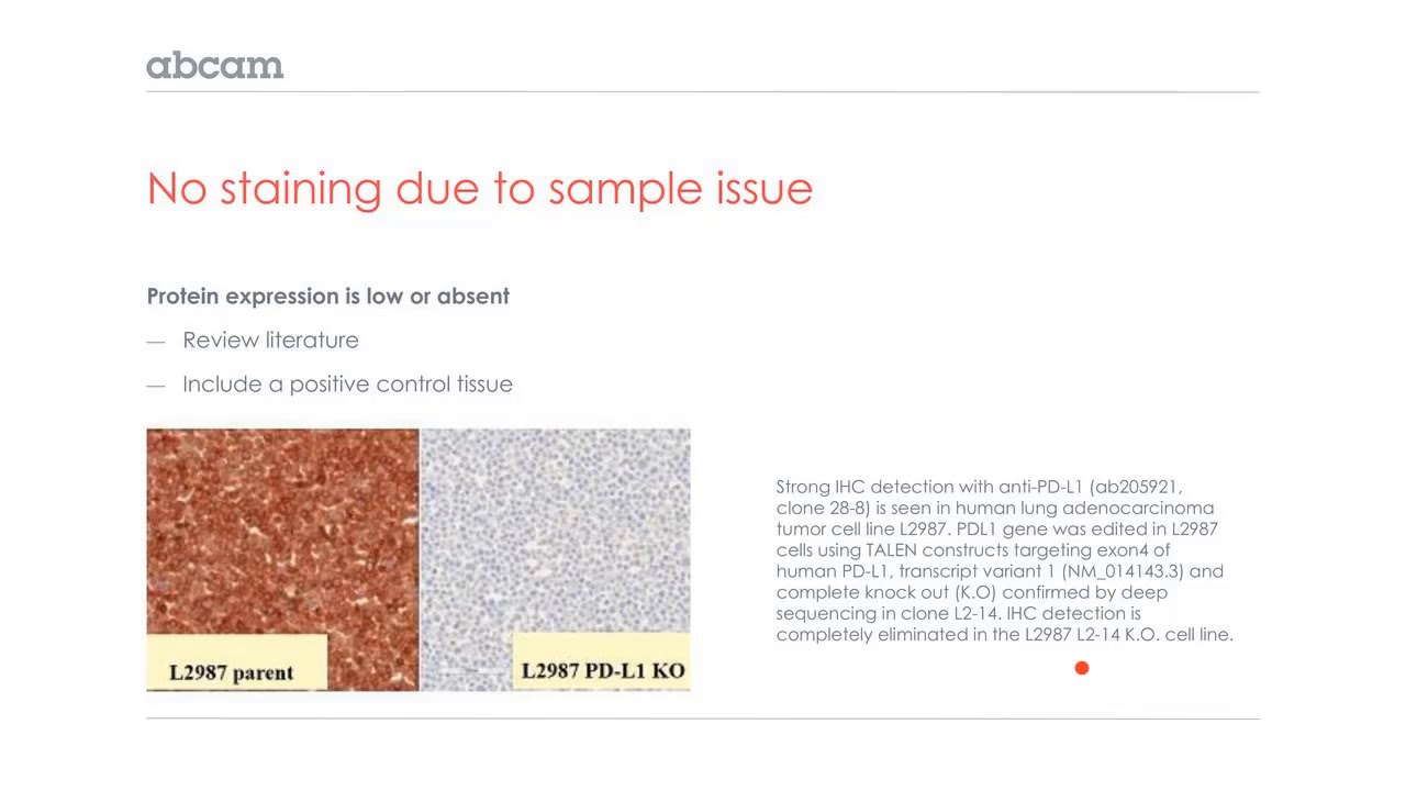Ihc Troubleshooting No Staining Youtube