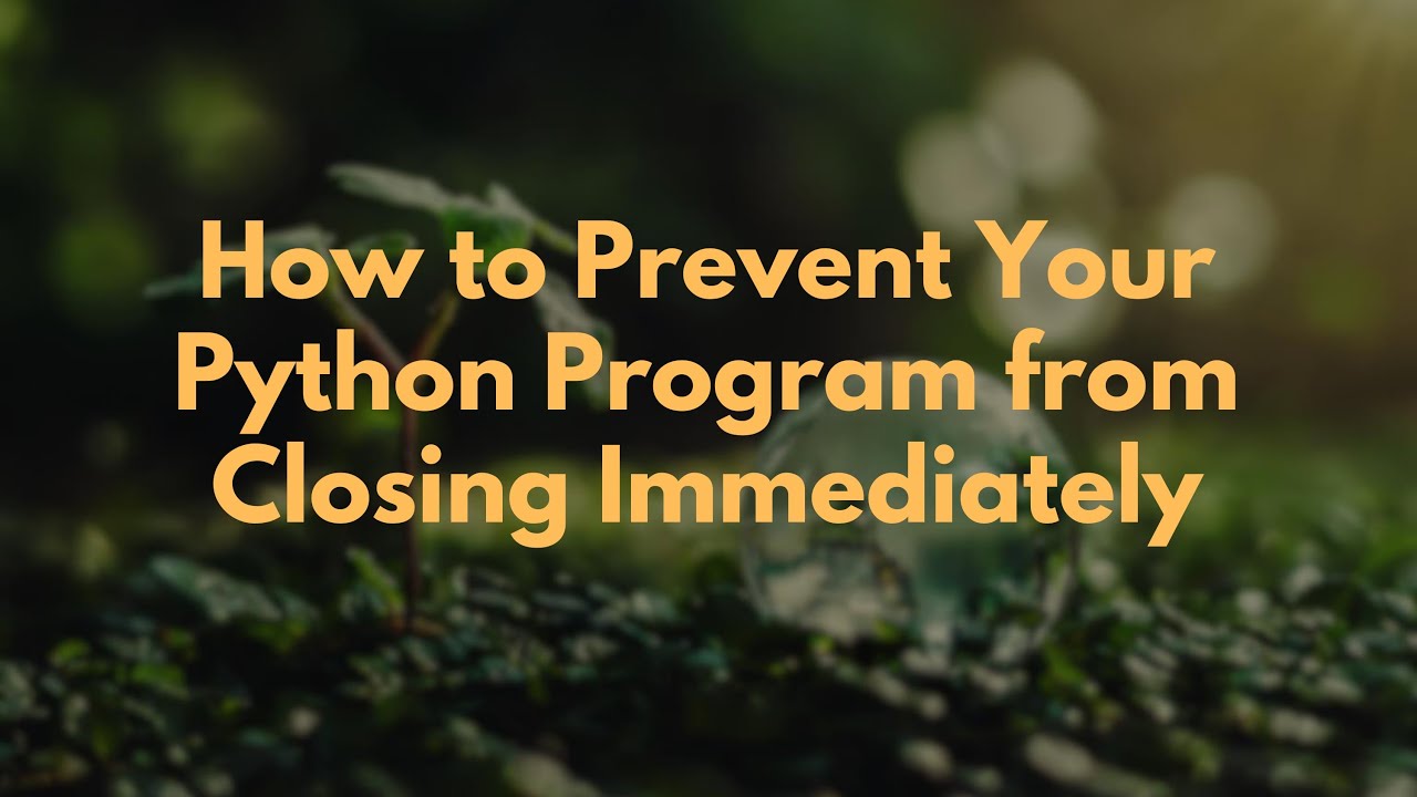 How To Prevent Your Python Program From Closing Immediately Youtube