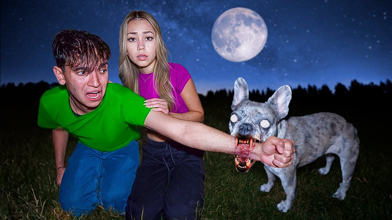 My Possessed Dog Bit My Boyfriend Youtube