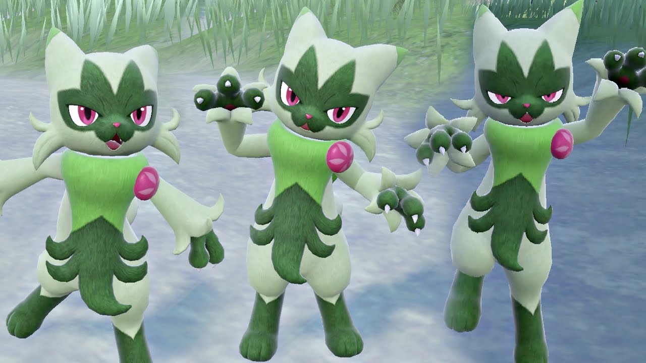 Floragato Pokemon Picnic Youtube