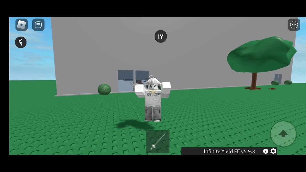 Infinite Yield Script