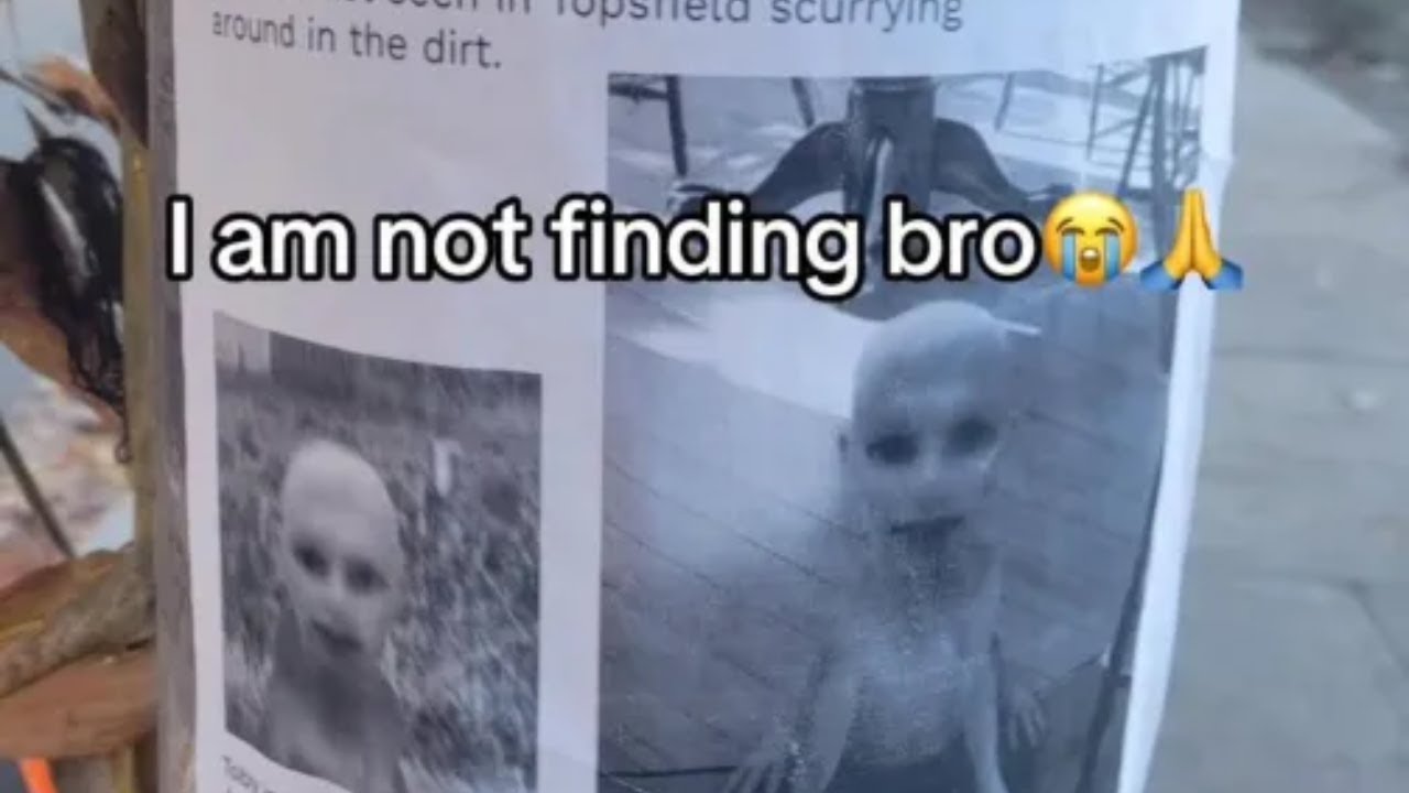 Random Memes I Permanently Borrowed Pt 798 Youtube