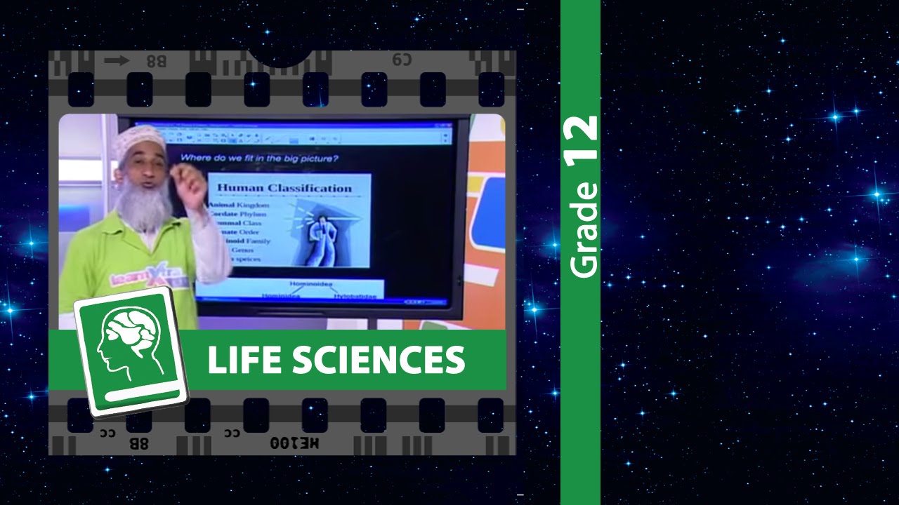 Human Evolution Youtube