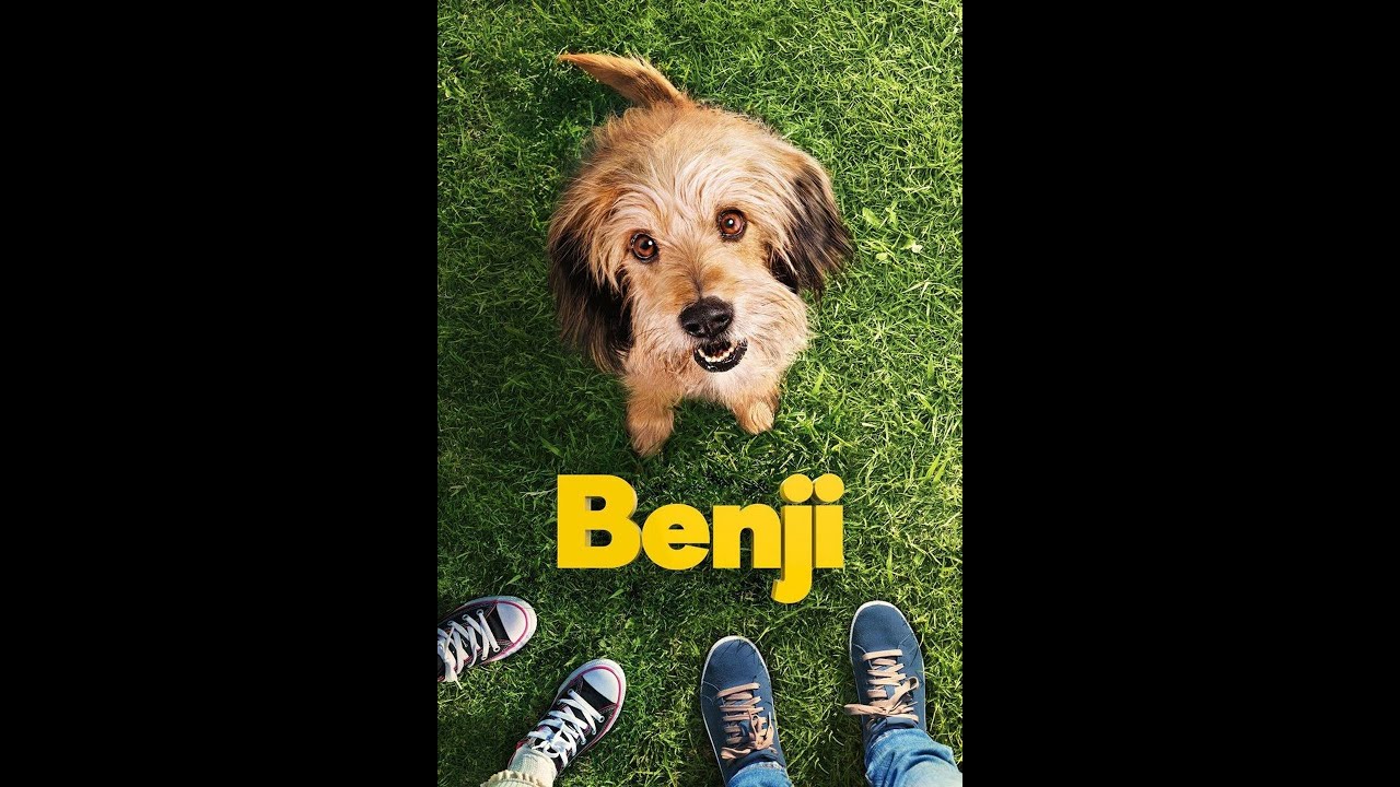 Benji Youtube Music