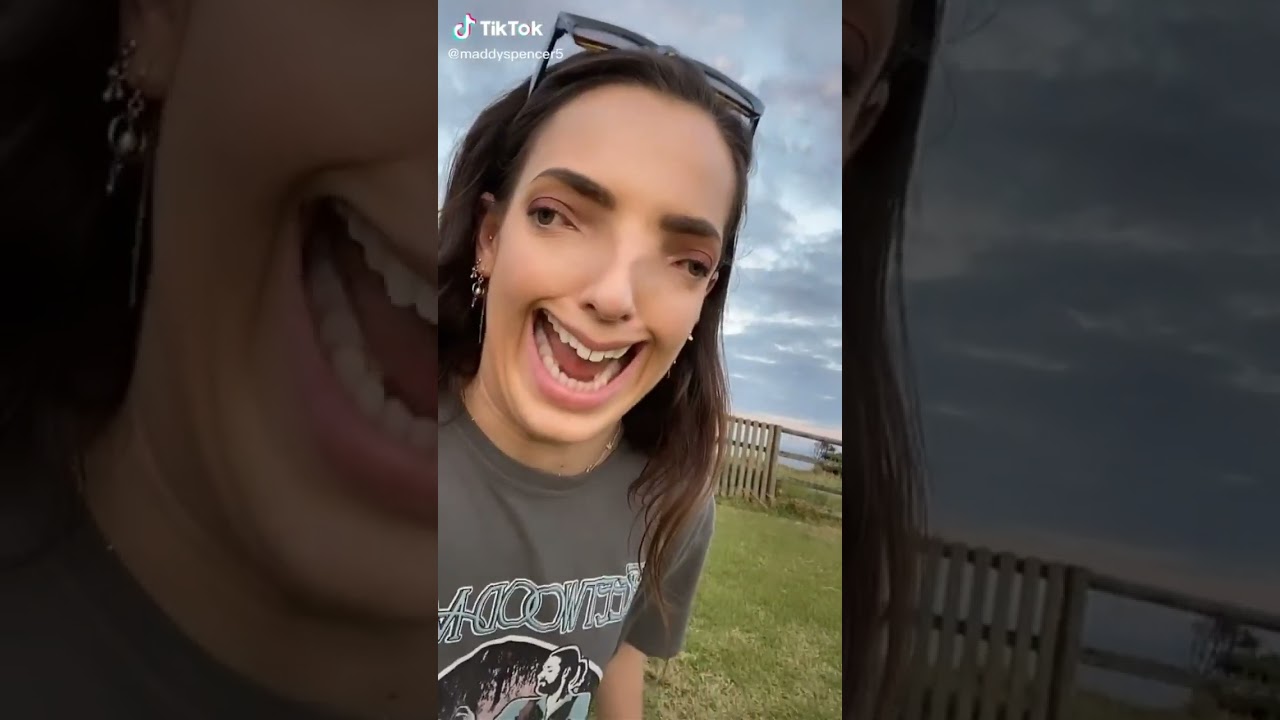 The Most Funny Things In The World Housepetscare