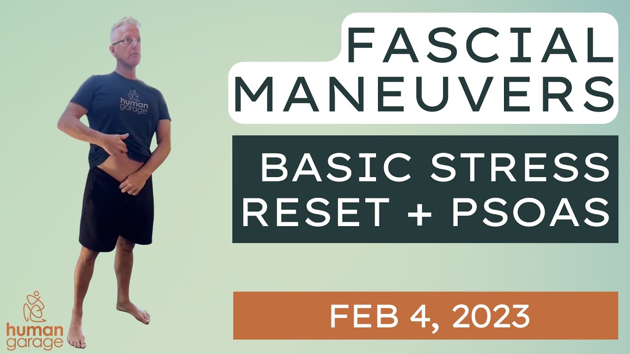 Stress Reset Basic Garry Youtube