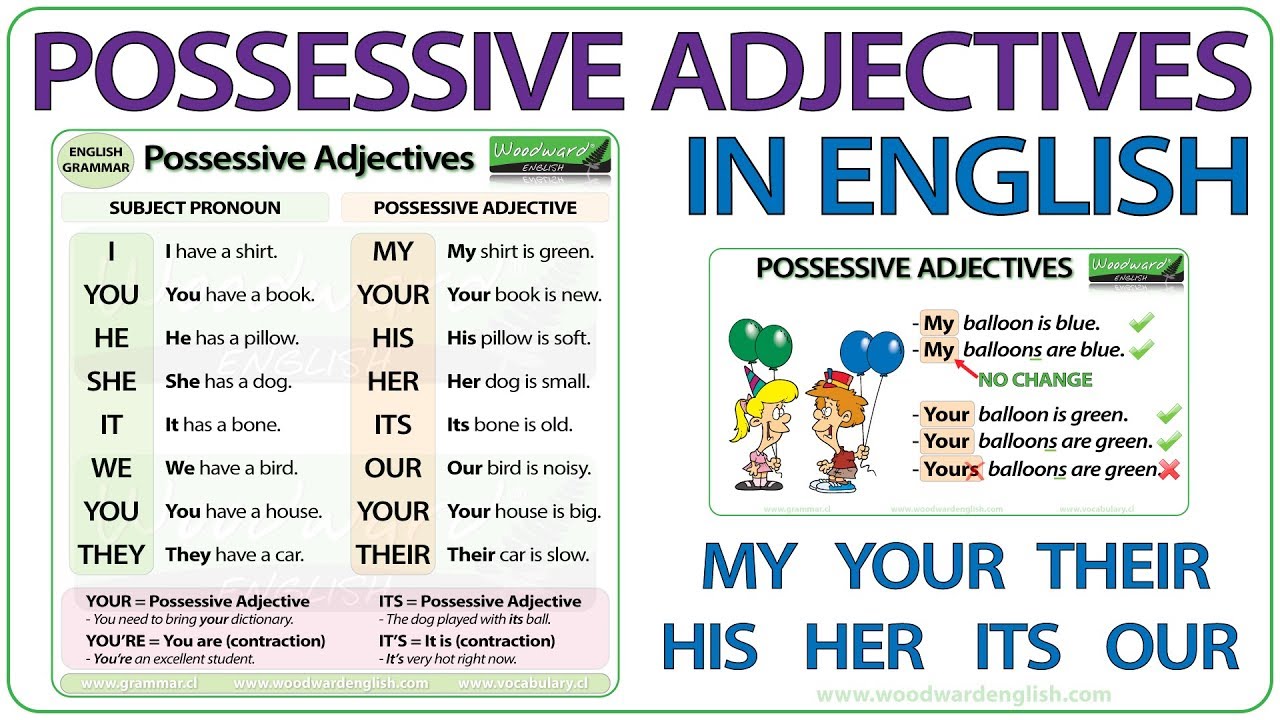 English Possessive Adjectives
