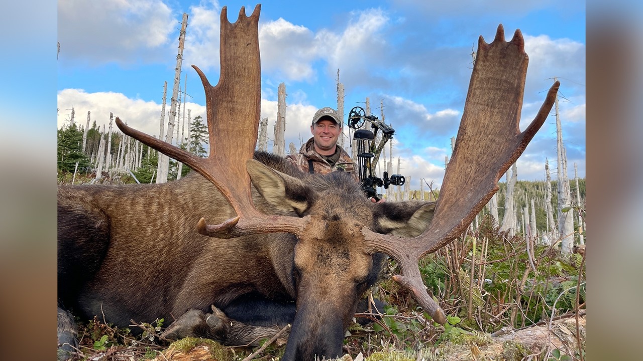 Archery Hunting For Moose In Newfoundland Canada In The Rough Youtube