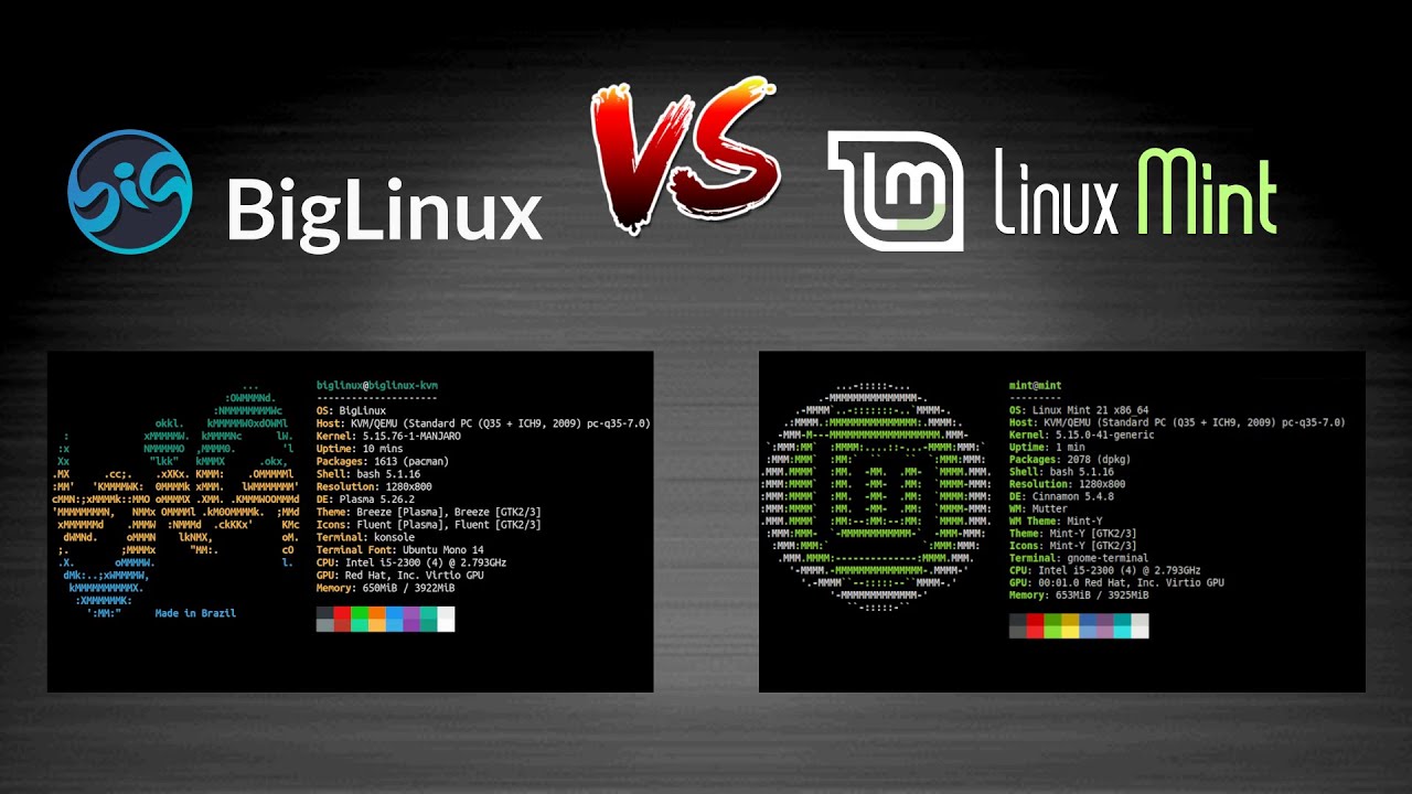 Biglinux Vs Linux Mint Youtube