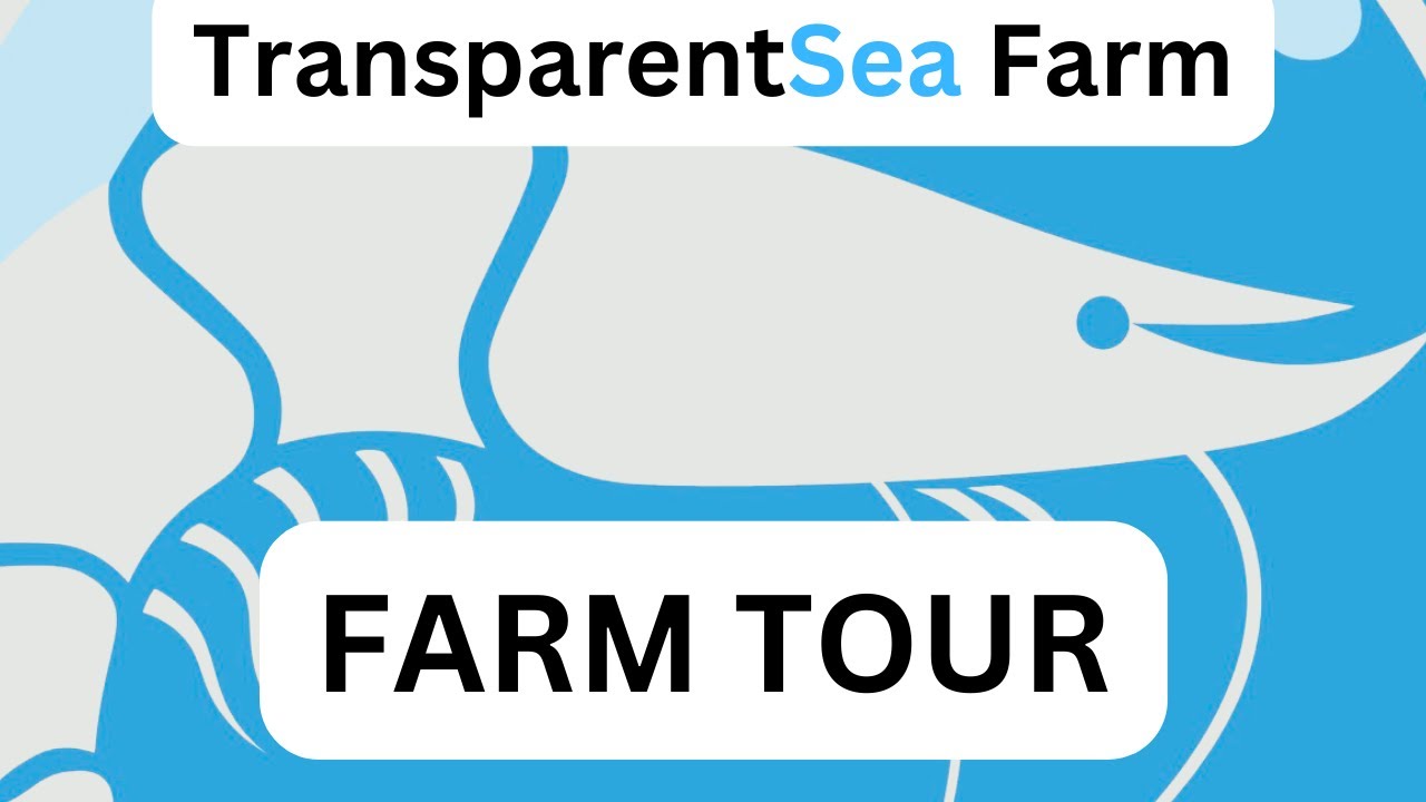 Transparentsea Farm Tour Youtube