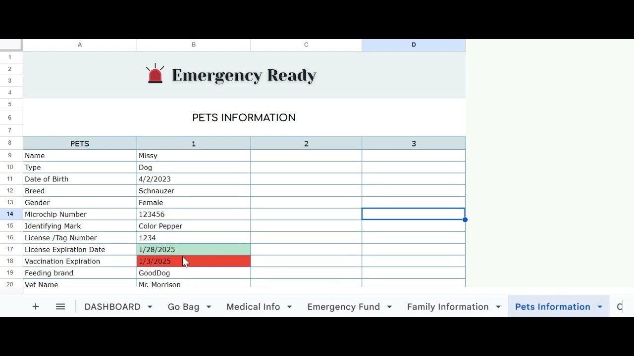 Emergency Ready Google Sheets Youtube