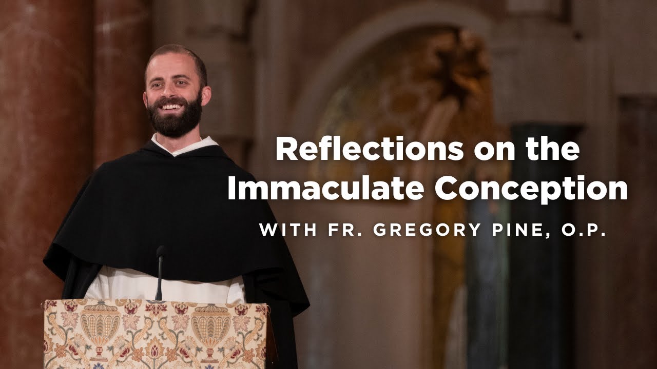 Fr Gregory Pine O P Reflections On The Immaculate Conception And