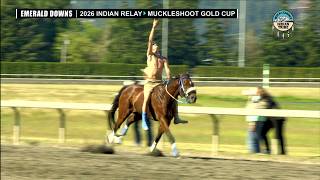 2026 Indian Relay Races Muckleshoot Gold Cup - Breaking News & Trending ...