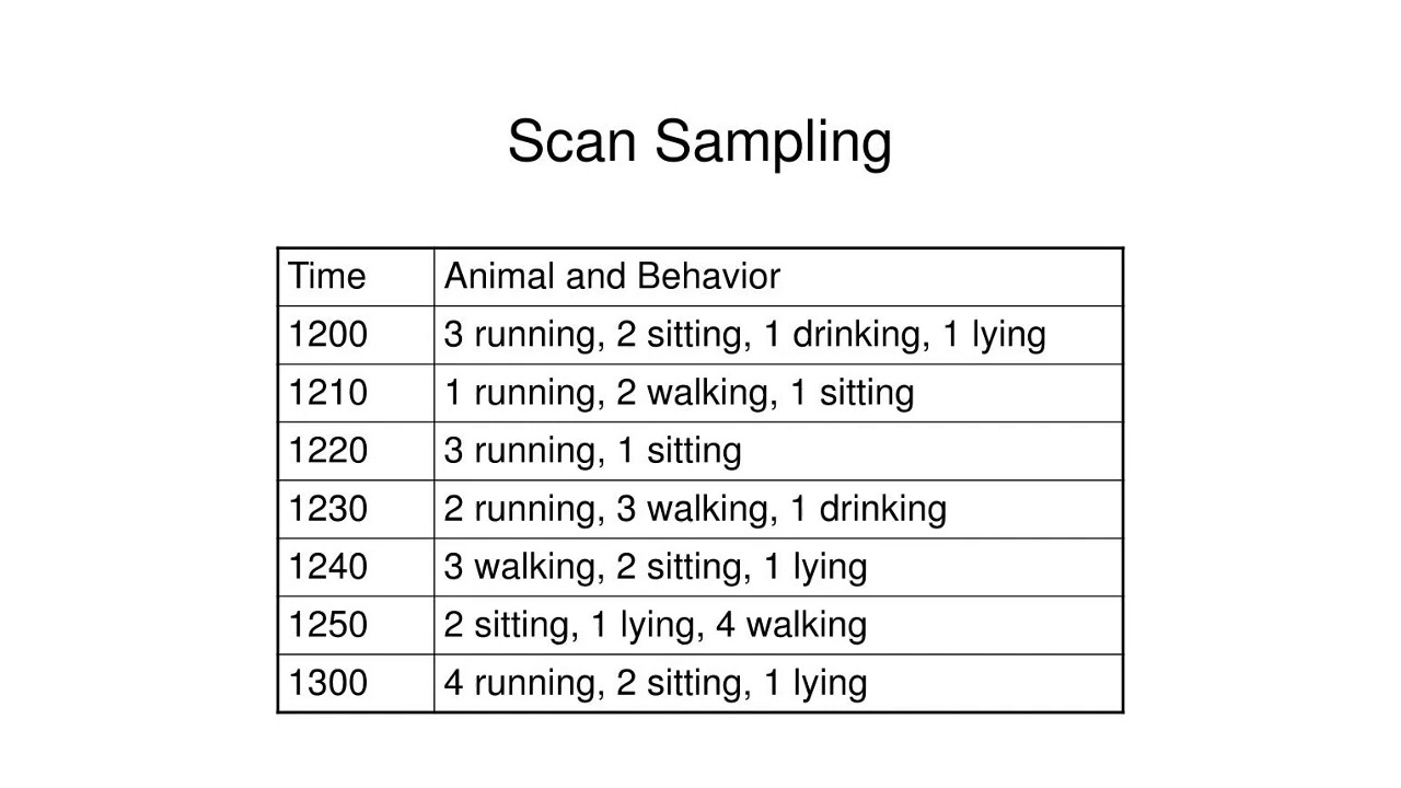 Scan Sampling Technique Youtube