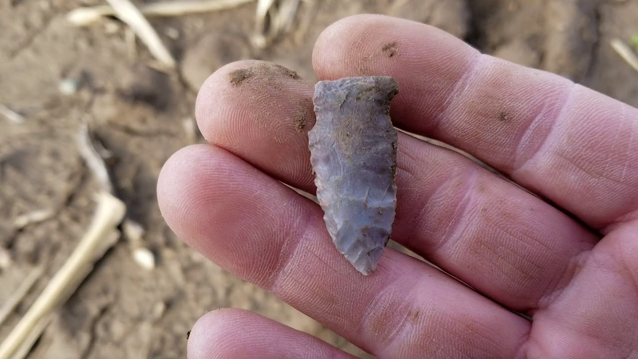 Arrowheads In Central Indiana Hunting Corn Field Youtube