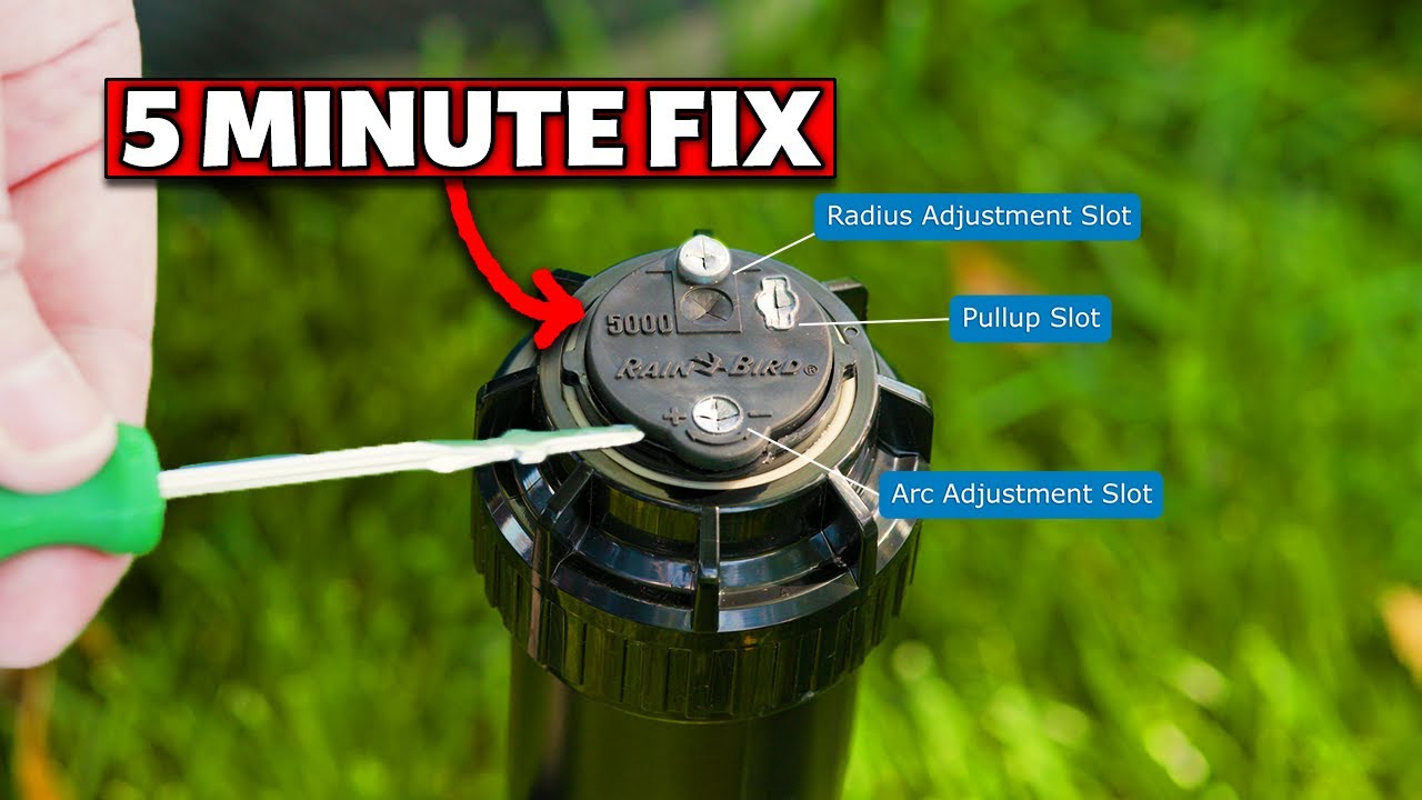 How To Adjust Rain Bird 5000 Rotor Sprinklers Beginner S Guide Youtube