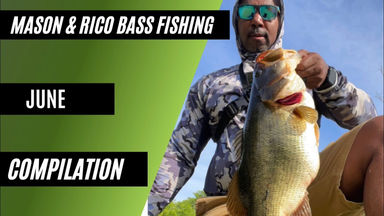 June Bass Fishing Compilation Youtube
